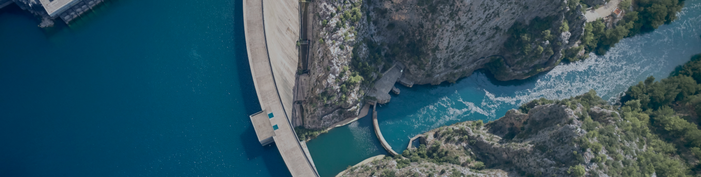 Our Services - Comprehensive Financial Solutions | Prescient