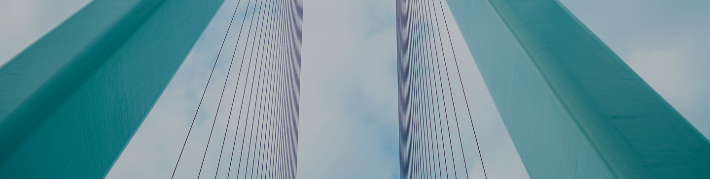 Prescient Financial Services: Expertise in Financial Services